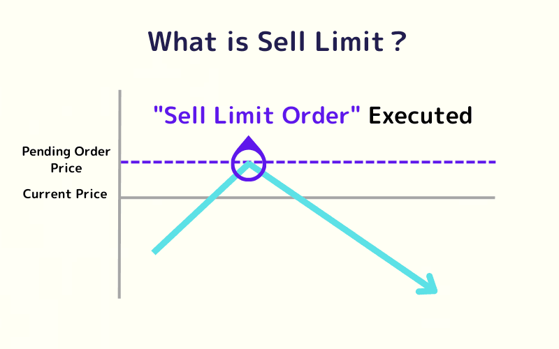 What Are Pending Orders in Forex Trading? | Titan FX Research Hub