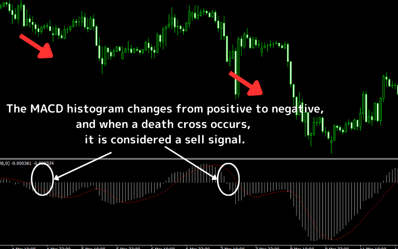 MACD Basics: A Beginner's Trading Guide | Titan FX Research Hub