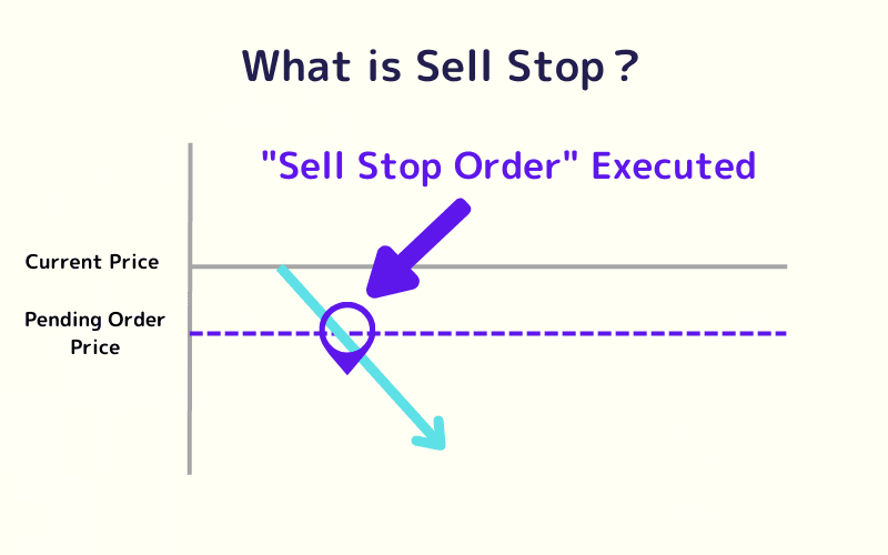 What Are Pending Orders in Forex Trading? | Titan FX Research Hub