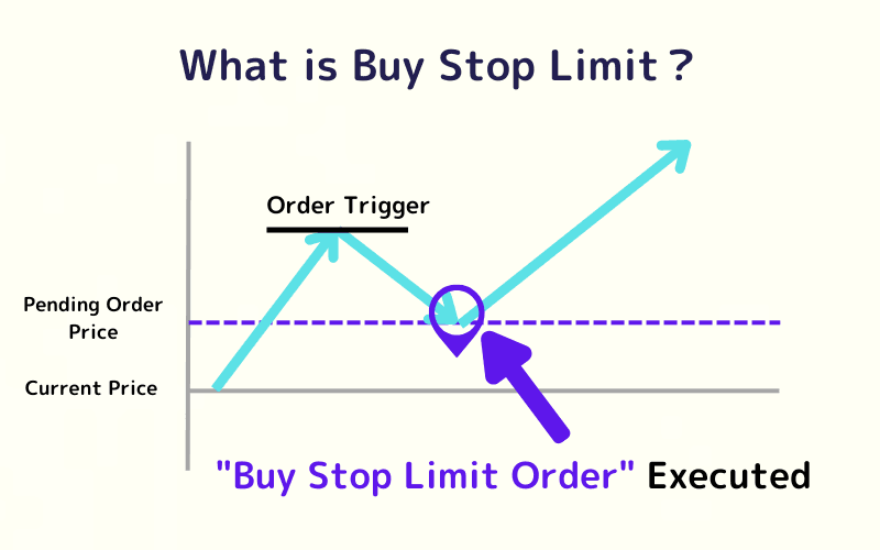 What Are Pending Orders in Forex Trading? | Titan FX Research Hub
