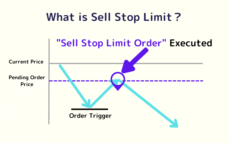 What Are Pending Orders in Forex Trading? | Titan FX Research Hub